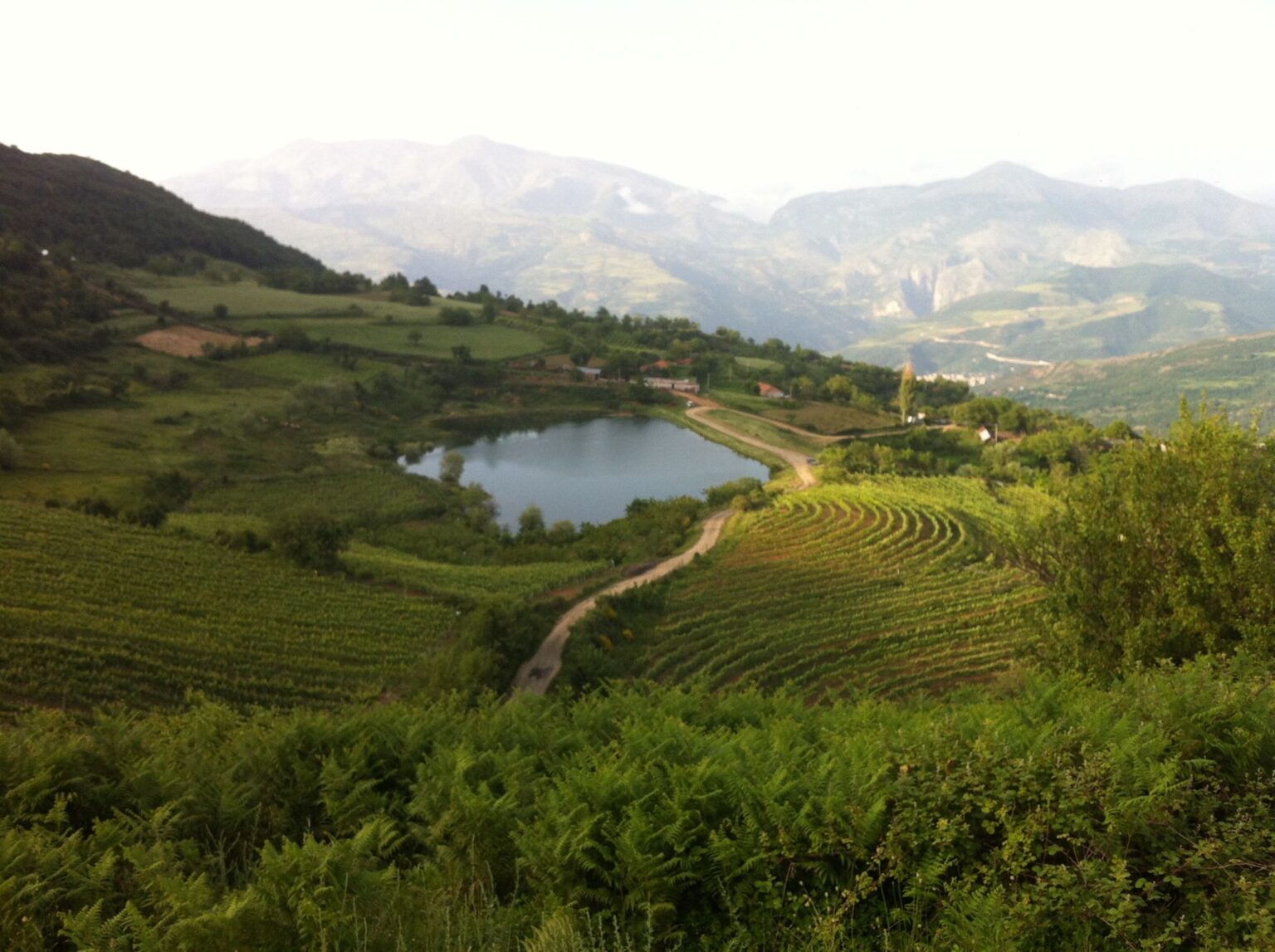 Orakujt e Tomorrit | “Nëpër Skrapar, guidë historike dhe etno-kulturore ...